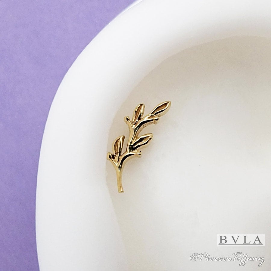 14K Tiny Amity Threadless End BVLA | Piercings by Tiffany